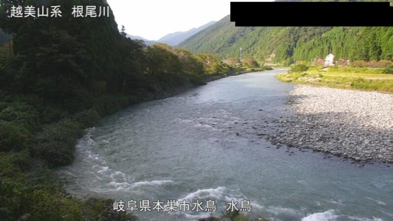 根尾川 水鳥のライブカメラ-岐阜県本巣市 | ライブカメラHUB