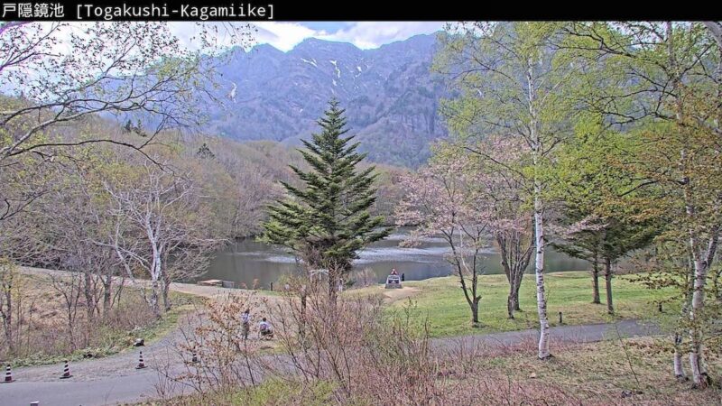 戸隠鏡池のライブカメラ-長野県長野市 | ライブカメラHUB